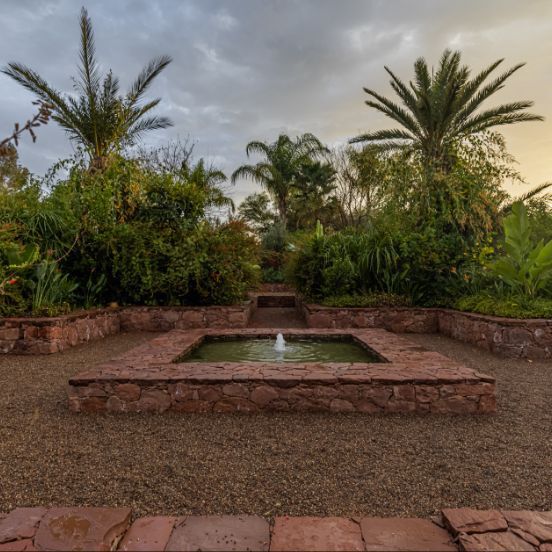 LIBRE BODY OIL by Yves Saint Laurent Beauty International