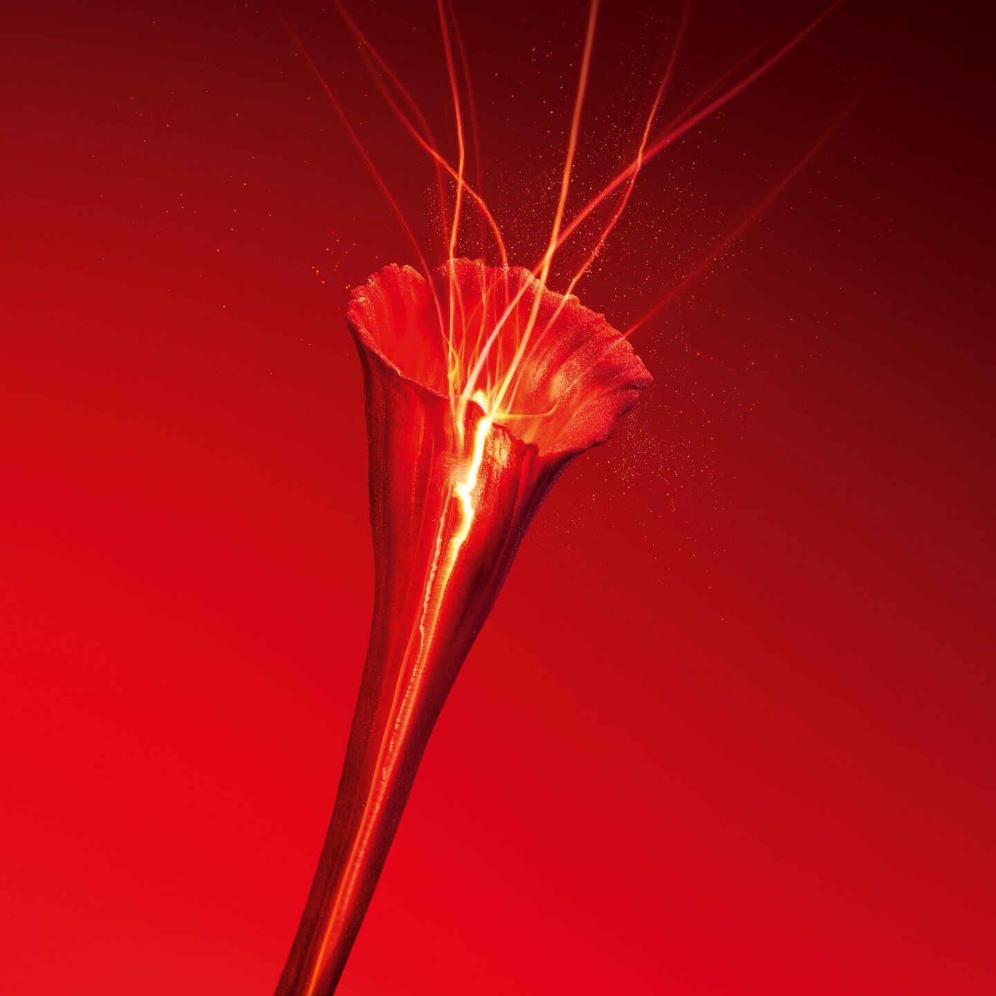 DISCOVER THE NEW OR ROUGE by Yves Saint Laurent Beauty International